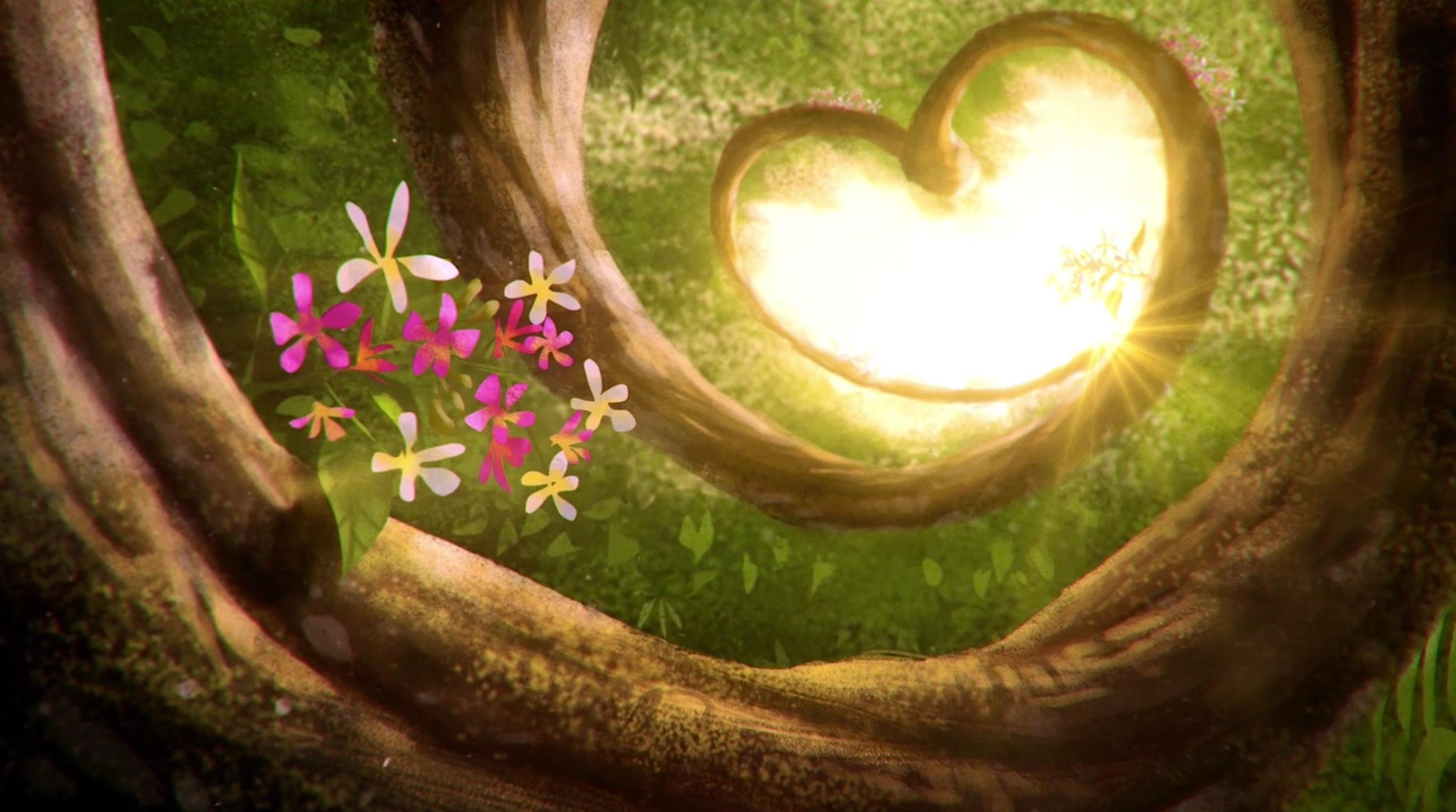 Dehydration of Mariri and Chacrona may benefit Nucleos of the UDV ...