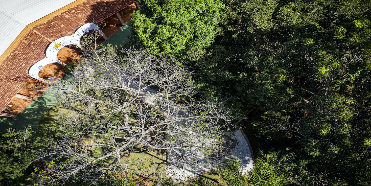 Home UDV - Centro Espírita Beneficente União do Vegetal