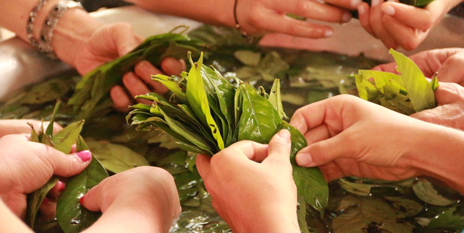 Home UDV - Centro Espírita Beneficente União do Vegetal