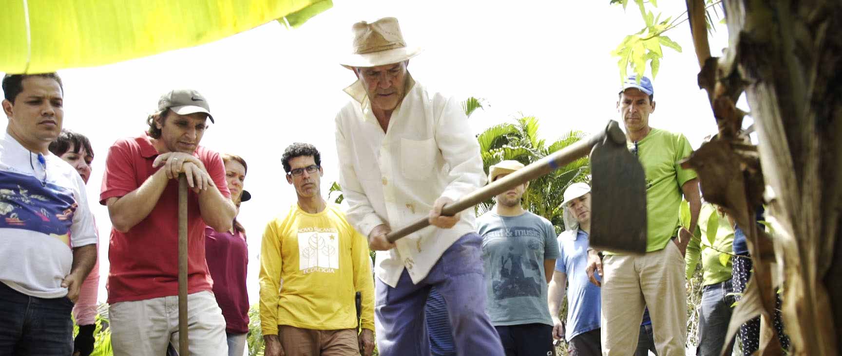 Agroforesta en el plantío de Mariri y Chacrona - Centro Espírita ...